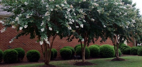 Tharp Funeral Home Lynchburg, Virginia